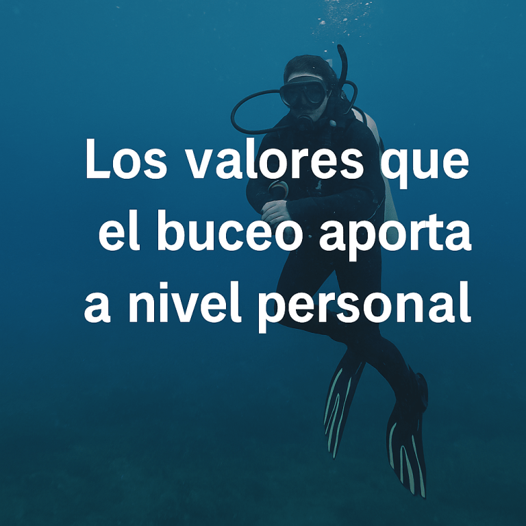 ¿Qué es PADI? — ViveBuceo La Herradura